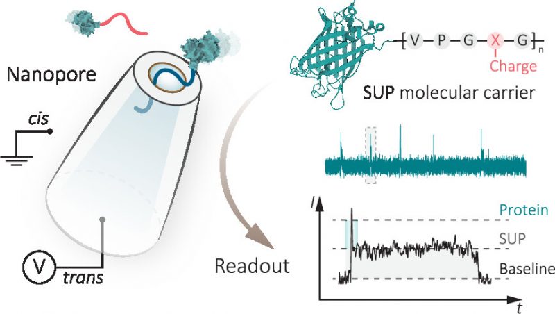 科研论文 – 生物功能材料课题组